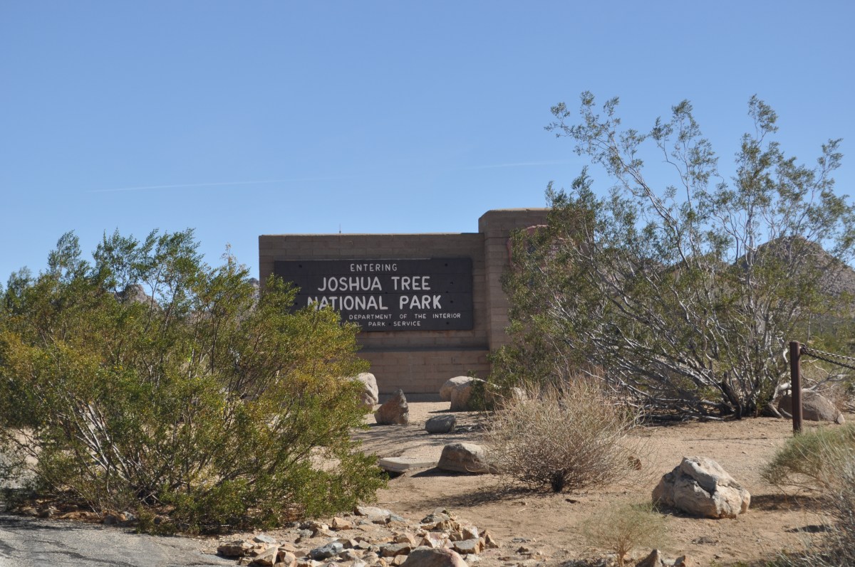 Joshua Tree National Park – Wind Kisses