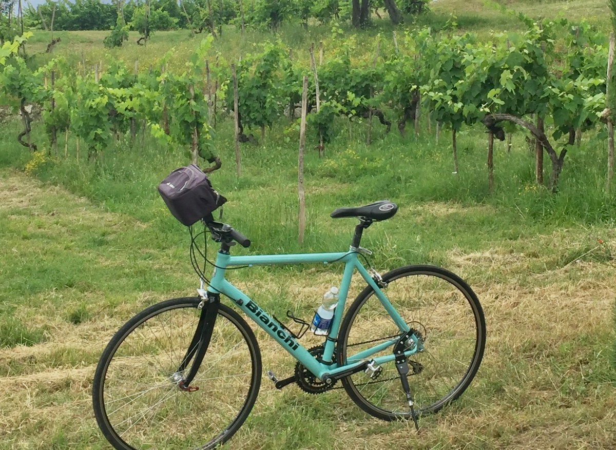 The Gelato Bike Ride -Tuscany – Wind Kisses